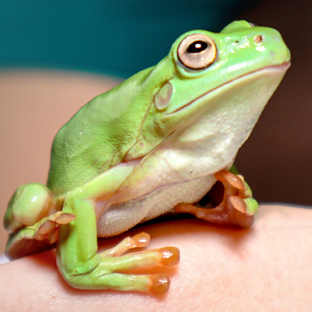 Home - Seven Stories | The National Centre for Children's Books