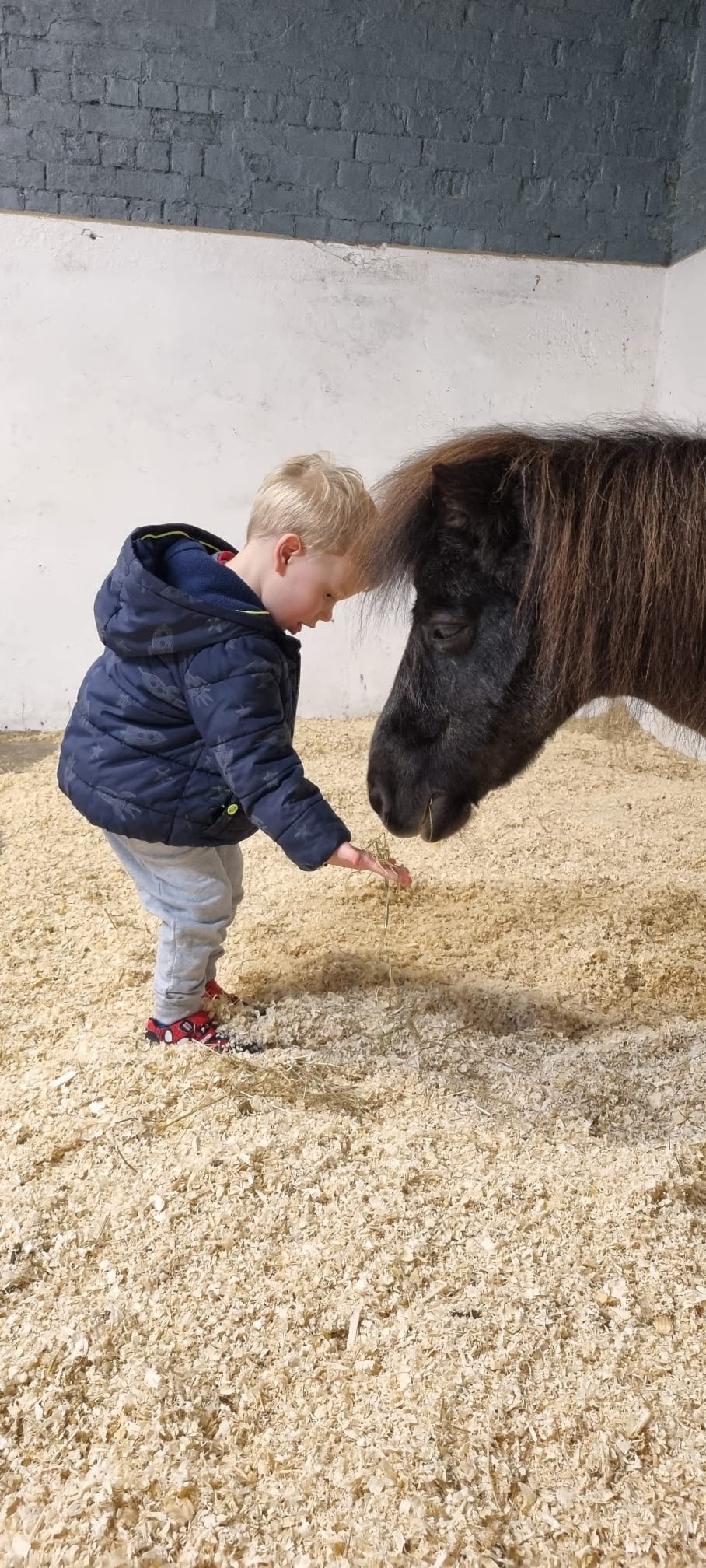 Pony Storytime at Stepney Bank Stables - Seven Stories | The National ...